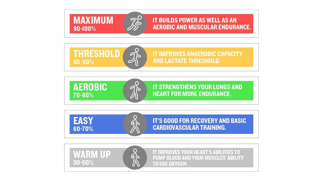 How to make sense of your heart rate zones - Collateral Salvage